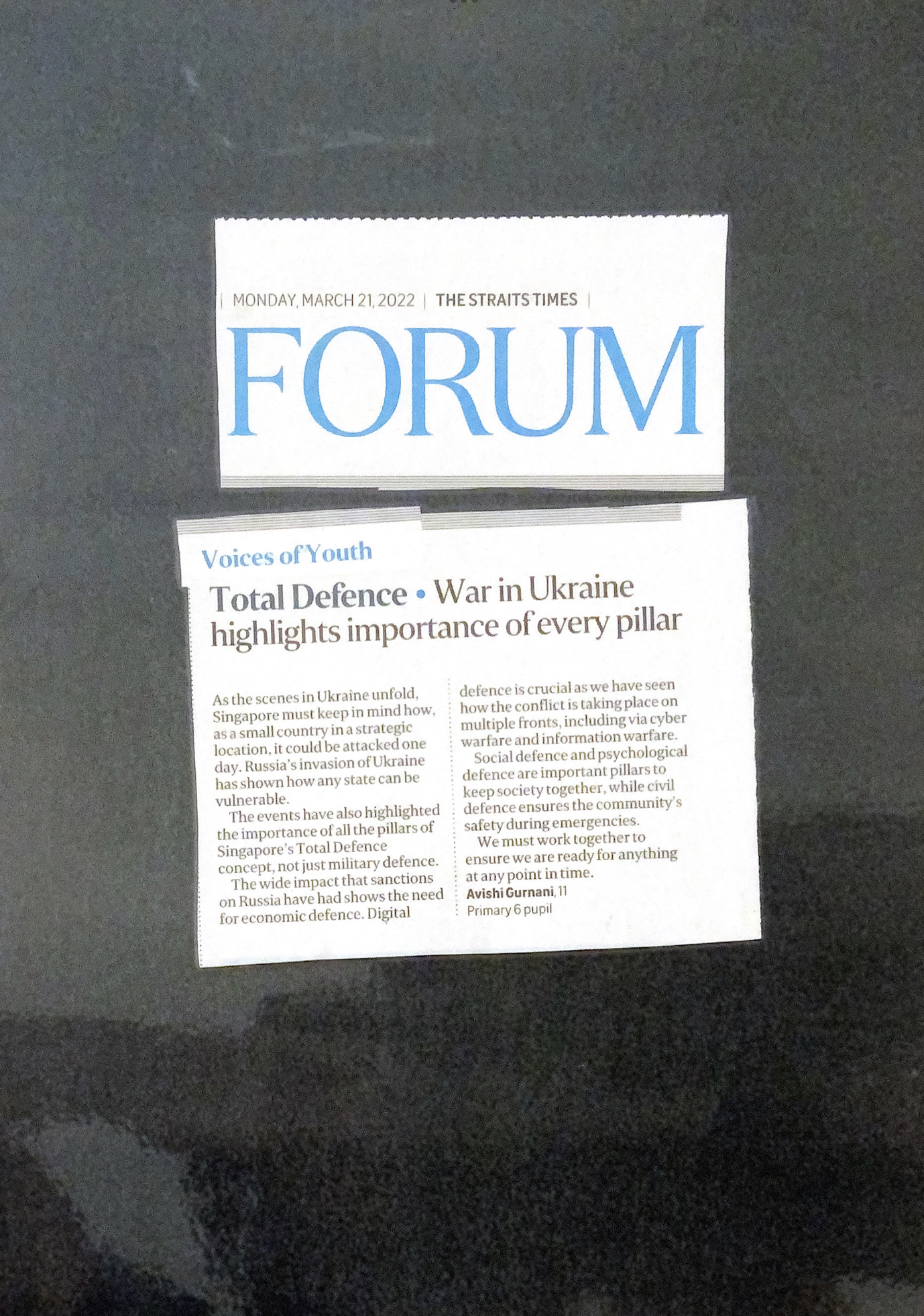 Total Defence: War in Ukraine highlights importance of every pillar ...